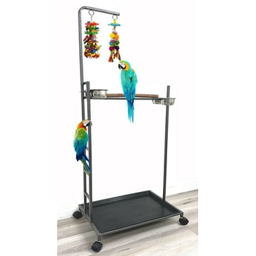 Parrot Bird Perch Table Top Stand Metal Wood 2 Steel Cups Play Medium ...