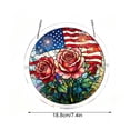 CaiTeLin Acrylic Puzzle Pendant Sunshade Window Hanging Plates, Stained ...