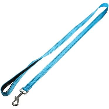 Didog 4ft Durable Nylon Dog Leash for Small Medium Dogs Puppy Walking ...