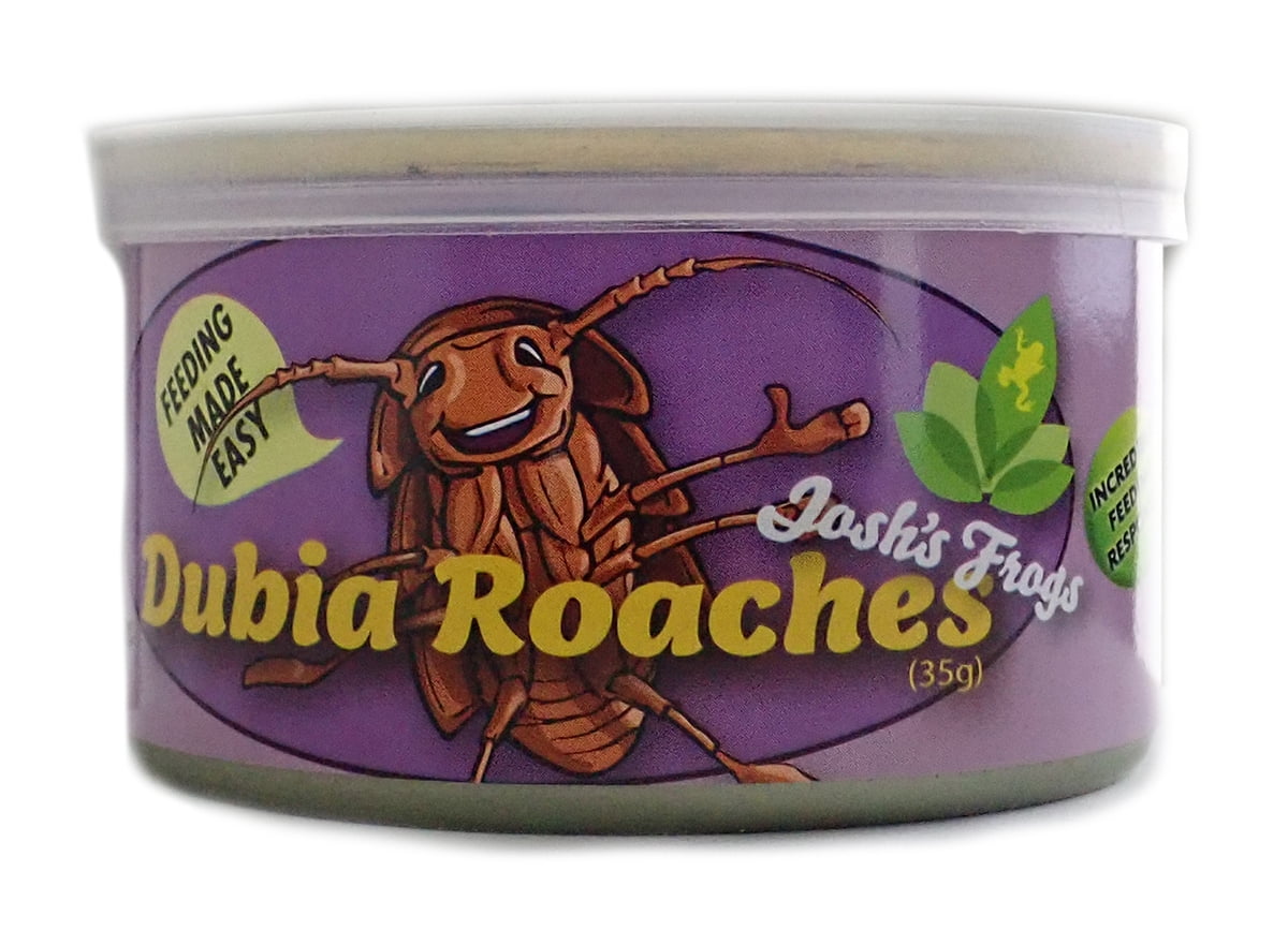 Josh's Frogs Canned Dubia Roaches (35g) - Walmart.com