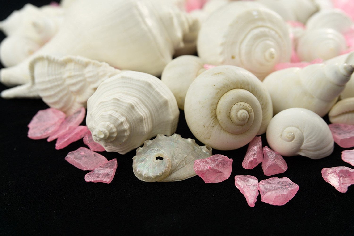 White Decorative Sea Shells with Pearlized Light Pink Sea Glass Chips ...