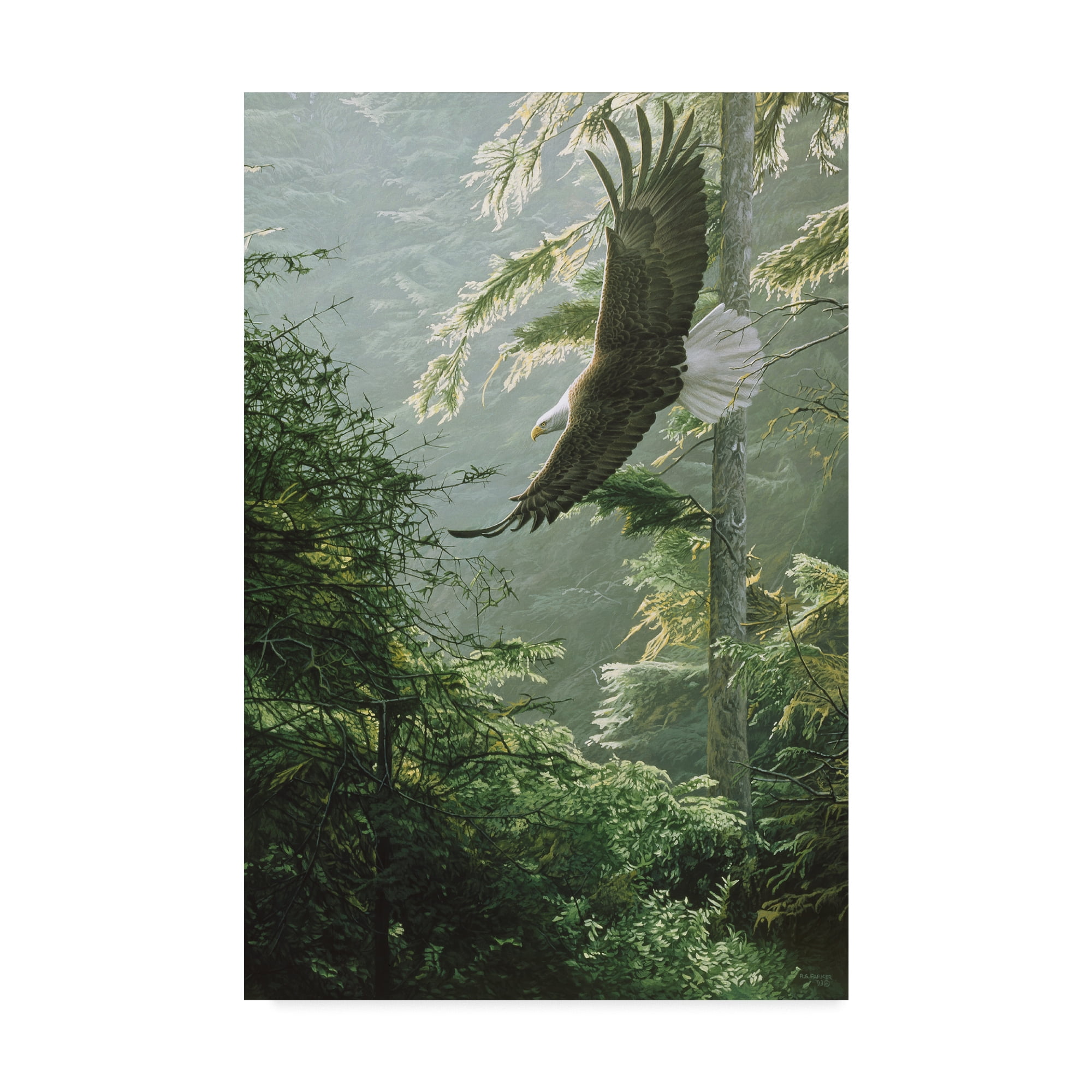 Trademark Fine Art 'Morning Flight Eagle' Canvas Art by Ron Parker ...