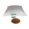 Organic Hard Red Wheat Seed: 25 Lb - Grow Wheatgrass, Flour, Grain ...