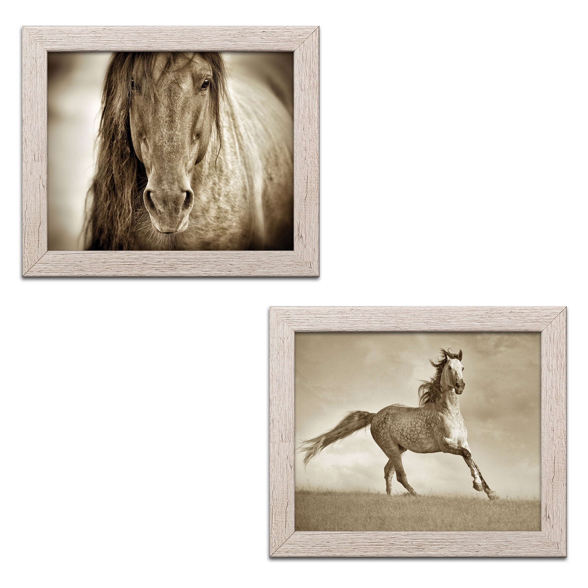 Gango Home Decor Horizontal Like the Wind & Mustang Sally by Lisa ...