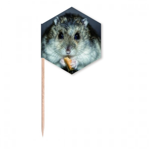 Hamster Animal Rat Pet Cute Eat Toothpick Flags Cupcake Picks Party ...