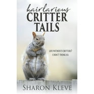 The Big Bad Fox (Paperback) - Walmart.com