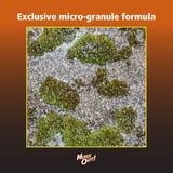 Lilly Miller Moss Out Economical Concentrate for Roofs Moss Killer ...