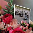3drose, Black Skimmer Bird, Fort Meyers, Florida - Na02 Rnu0424 - Rolf ...