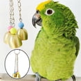 Desktop Ornament for Bird Lovers Hanging Parrot Lovebird Greys Budgie ...