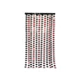 CaiTeLin 2026 Graduation Foil Fringe Curtain Streamer Set, Wall Door ...