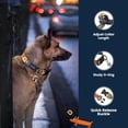 PawView Dog Collar Retro Print, QR Tag Adjustable Pet Collar, Soft ...