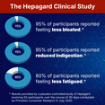 Hepagard - Natural Liver Support, N-Acetyl Cysteine, Non-GMO, Gluten ...