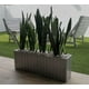 Maceta jardinera rectangular de fibra de vidrio color gris de 90 cm Green Boutique Pecera ...