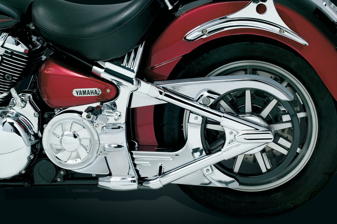 Kuryakyn Swingarm Cover 8262 - Walmart.com