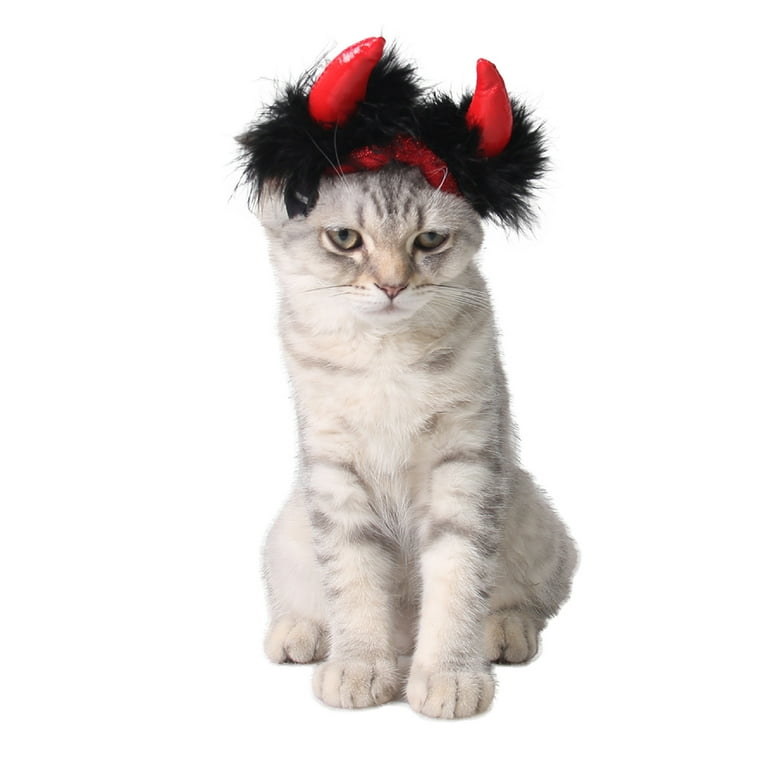 Cat With Devil Horns