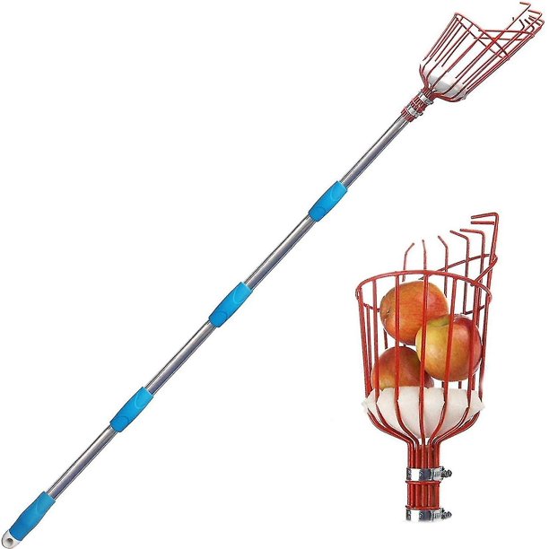Fruit Picker Tool Height Adjustable Fruit Picker With Big Basket Apple ...