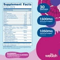 Wellah Splish Splash Hydration Electrolyte Drink Mix (Blueberry ...