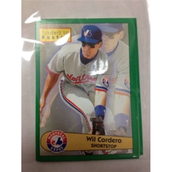 1996 Panini Stickers Montreal Expos Team Set (Fleer) NM-MT PEDRO ...