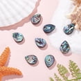 1set 8Pcs Natural Abalone Shell/Paua Shell Beads Teardrop Colorful ...