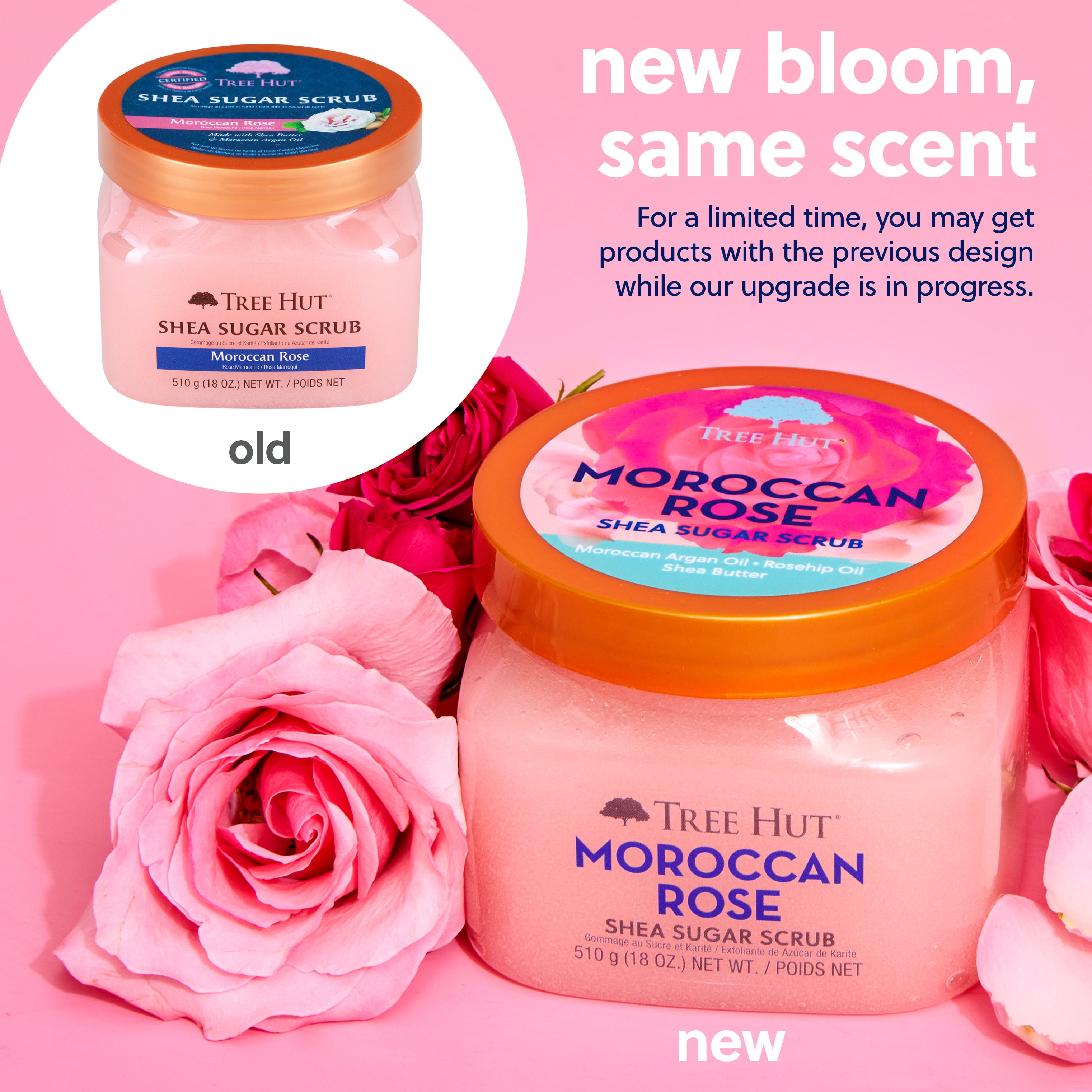 Tree Hut Moroccan Rose Shea Sugar Exfoliating and Hydrating Body Scrub ...