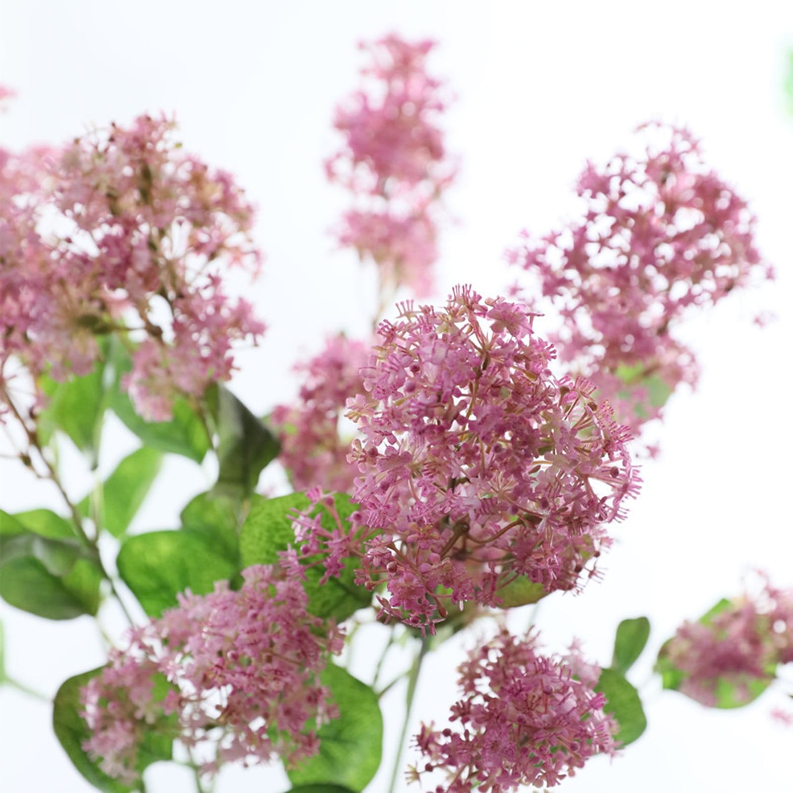 Mightlink Wind Chimes Attractive Pleasant Voice Decorative Bird House ...