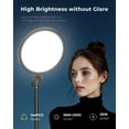 Ring Light with Stand and Phone Holder, Tall LED Circle Light with ...