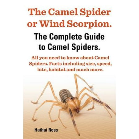 The Camel Spider or Wind Scorpion. the Complete Guide to Camel Spiders ...