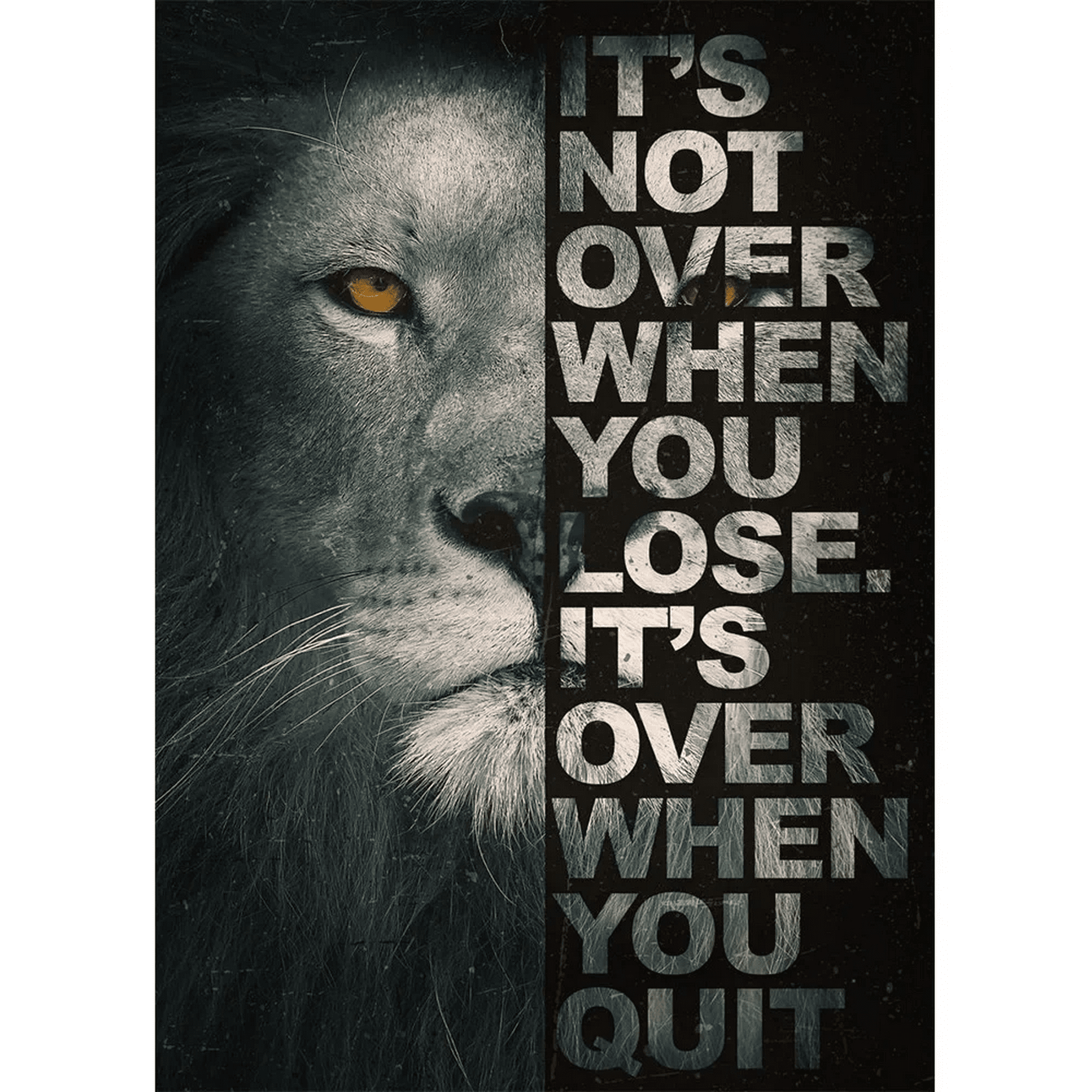 Click here for Nobrand 1pc Inspirational Success Quotes Lion Clas... prices