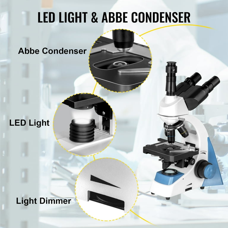 Compound Light Microscope Magnification