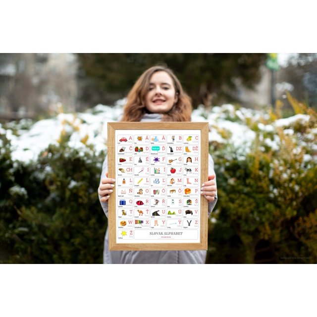 SLOVAK Alphabet POSTER Print With Words And English Translations (16 x ...