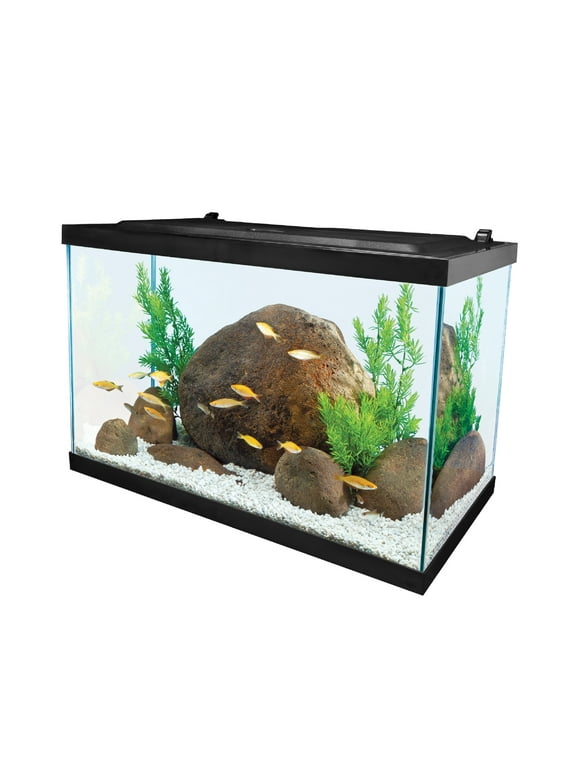10 Gallon Fish Tank in Fish Tanks - Walmart.com