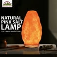 Himalayan Glow Pink Salt Crystal Lamp, 15W Incandescent Bulb, Dimmer ...