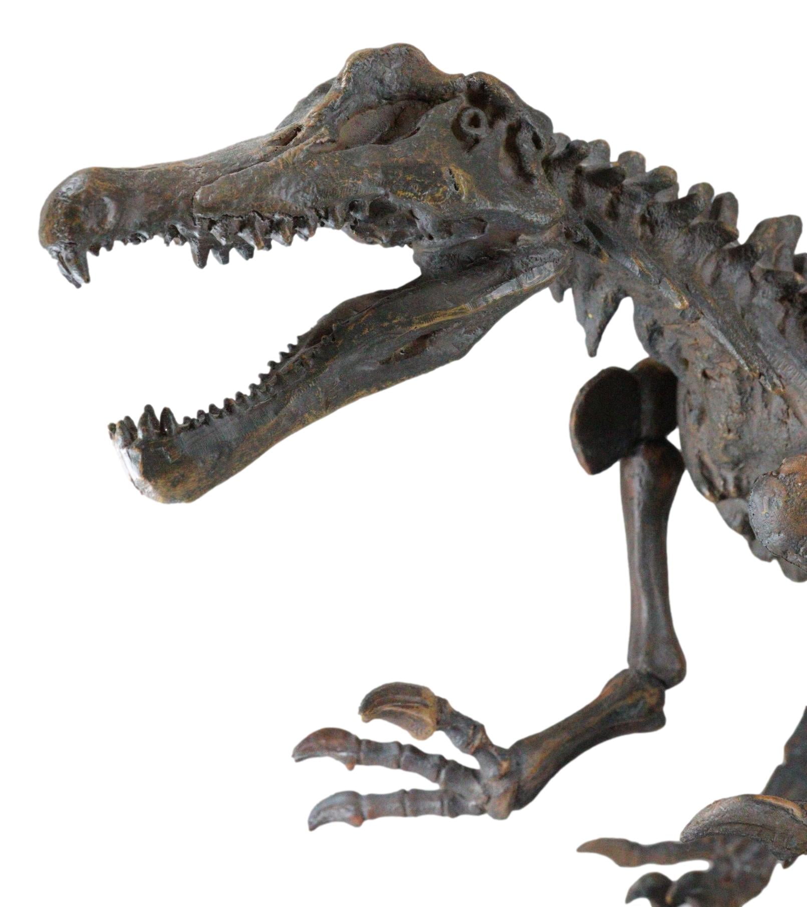 Spinosaurus Skeleton Museum