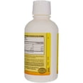 Nature's Blend Liquid Calcium Citrate with D3 Supplement - Blueberry ...
