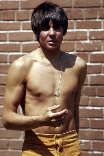 Davy Jones in The Monkees Bare Chested portrait pin up 24x36 Poster ...