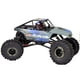 Redcat Racing DANCHEE-RIDGEROCK-BG 2.4 gHz 4 Wheel Steering Ridge Rock ...