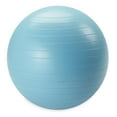 Reebok Delta Weighted Stability Ball 55CM -75CM, Pump Included ...