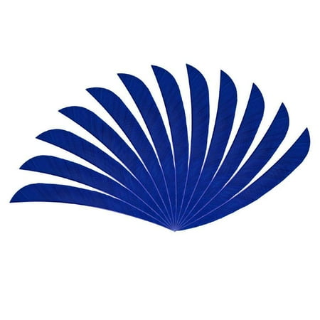 fastboy 12 Pieces Archery Hunting Arrow Feather Fletching Right Wing ...