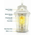 pupikeji EFL-140W-MD Flickering Flame Lantern, Water Glass, with ...