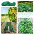 13ft x 33ft Green Anti Bird Netting Pond Net Protection Crops Plants ...
