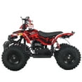"X-Pro Powered Toys: 40cc Mini Gas ATV for Kids, 4 Stroke, Pull Start ...
