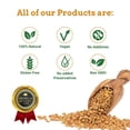 Spice Magic Fenugreek Seeds | Methi Dana | Spice Whole 7oz (200g) 100% ...