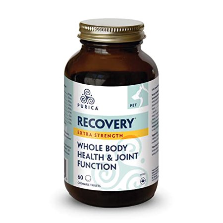 PURICA Pet - Recovery Extra Strength, 60 Delicious flavoured chewables ...