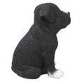 Hi-Line Gift Ltd Sitting Staffordshire Pitbull Puppy Statue - Walmart.com