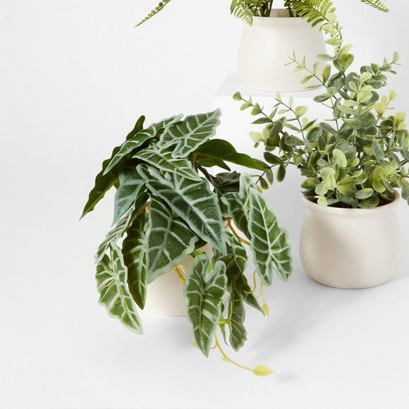 anko | Walmart Canada