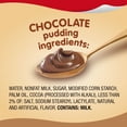 (4 pack) Snack Pack Chocolate Flavored Pudding, 6 Count Pudding Cups ...