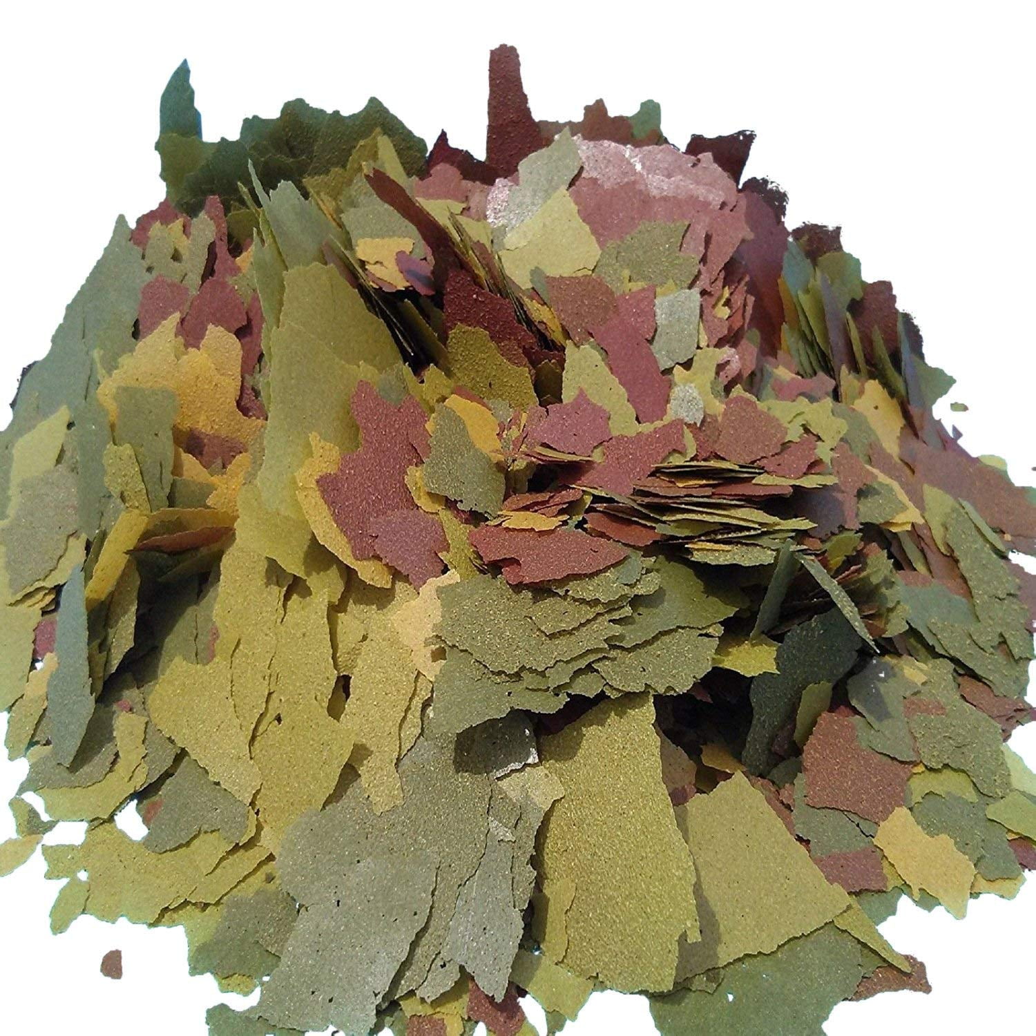 Aquatic Foods Angel Fish Flakes - Premium Tropical Fish Flakes - 2-lbs ...