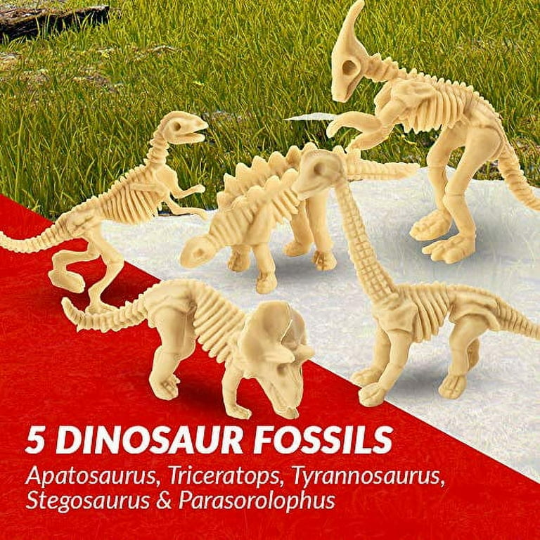 Dinosaur Fossil Digging Games on Sale | emergencydentistry.com
