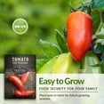 2 Packs San Marzano Tomato Seed - Non-GMO Heirloom Full Sun Annual Vegetable - Walmart.com