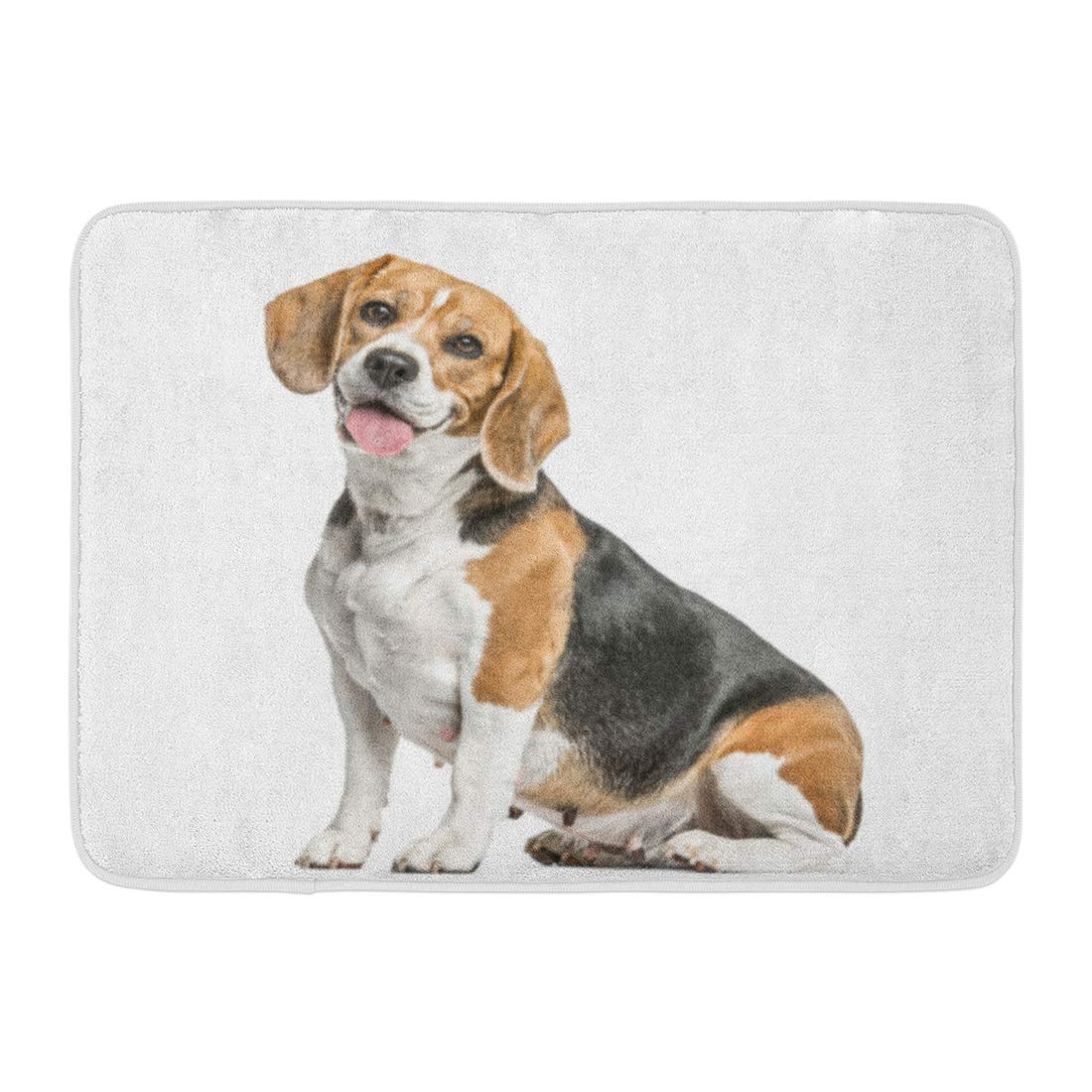 LADDKE Brown Dog Beagle Sitting and Panting White Black Canine Cutout ...